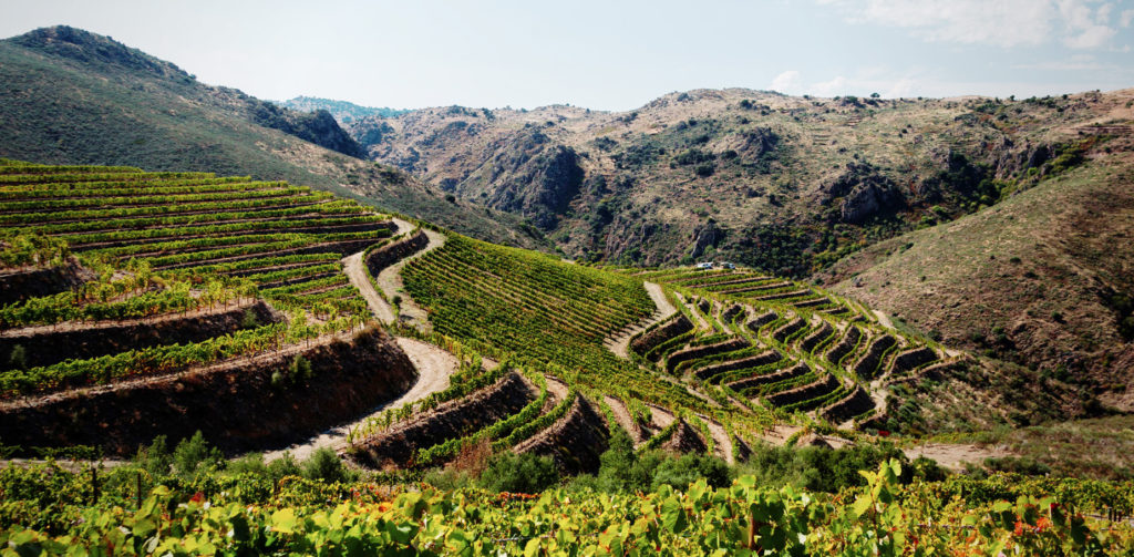 A grande qualidade dos vinhos tintos e brancos das Colinas do Douro