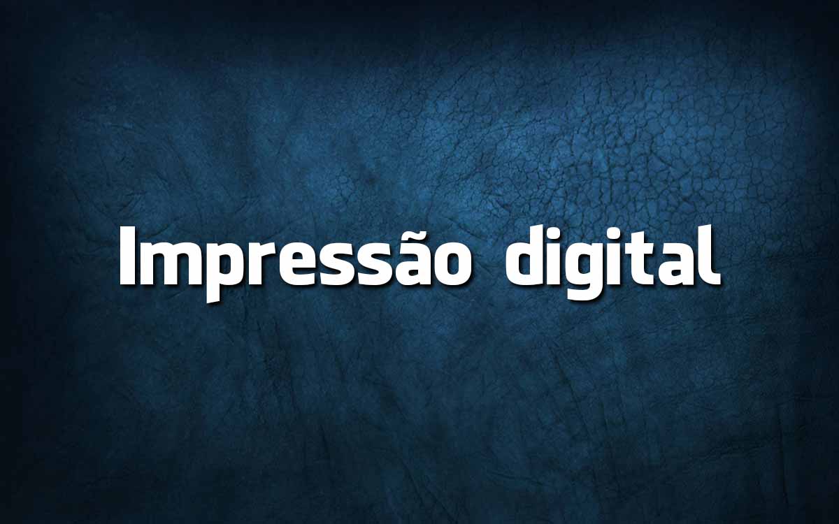 24 Palavras novas na língua portuguesa