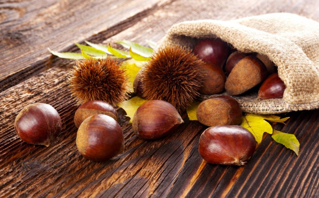 5 receitas fantásticas para fazer castanhas cozidas em casa | ncultura