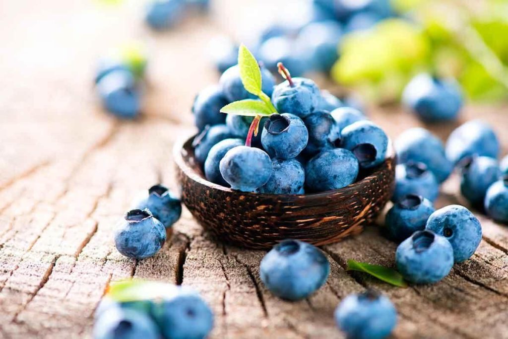 4 receitas fáceis e saudáveis de Mirtilo