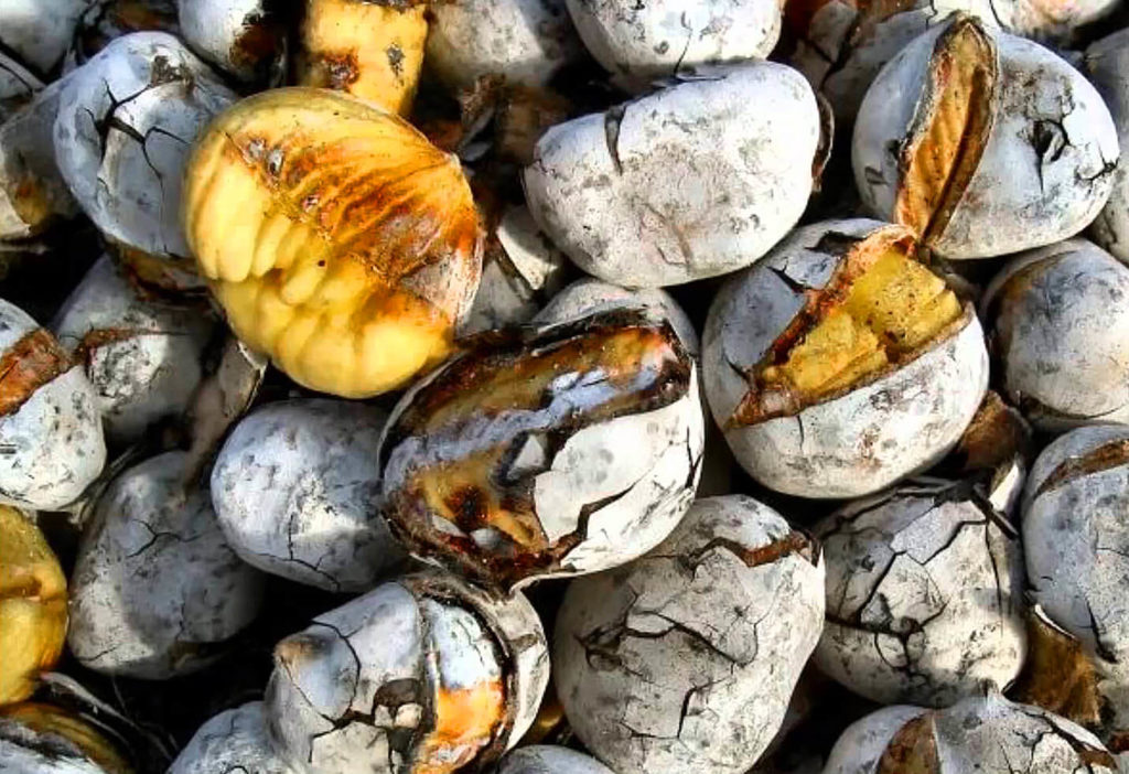 Como Assar Castanhas: 3 formas simples e fáceis