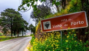 Roteiro Estrada Nacional 222: O Douro magnífico