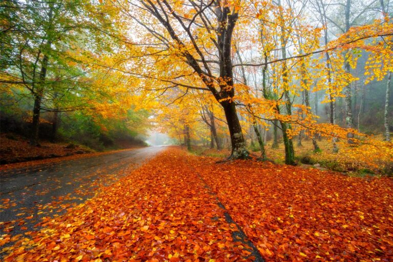 10 dos lugares mais bonitos para visitar no outono