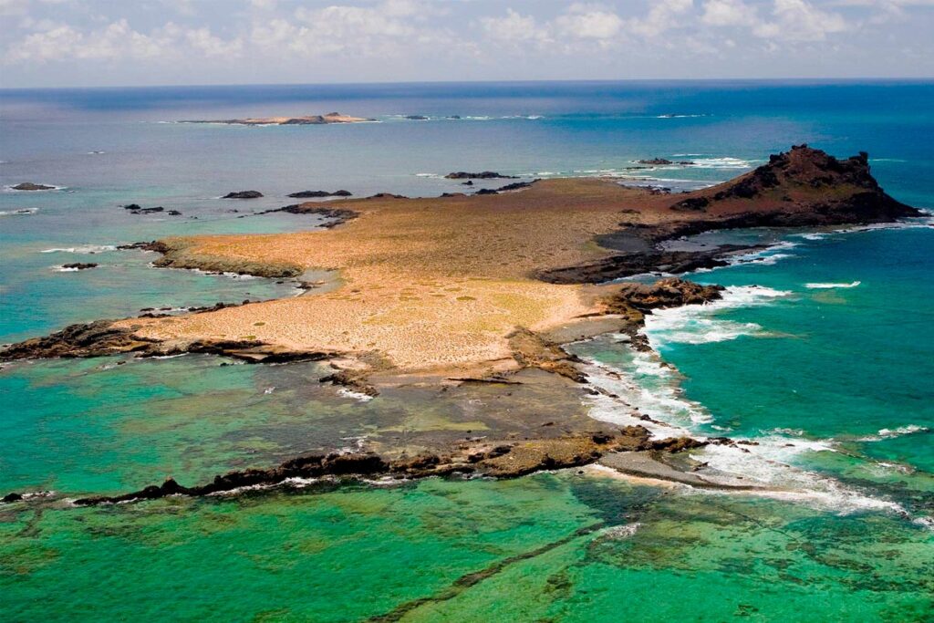 Ilhas Selvagens, uma das maiores áreas protegidas do mundo fica na Madeira