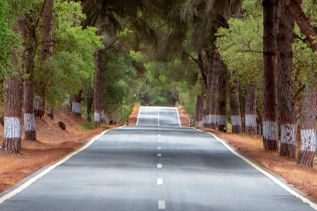 Estrada Nacional 2: sete paragens obrigatórias na ‘Route 66’ de Portugal