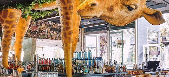 Roteiro para visitar o Parque Eduardo VII em Lisboa