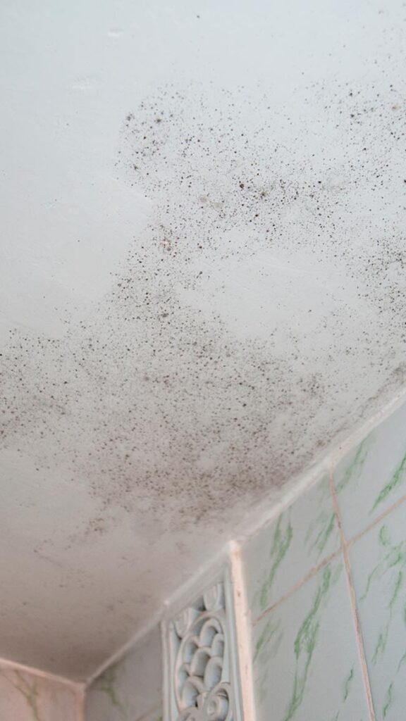 Aprenda a limpar a humidade do teto com eficácia