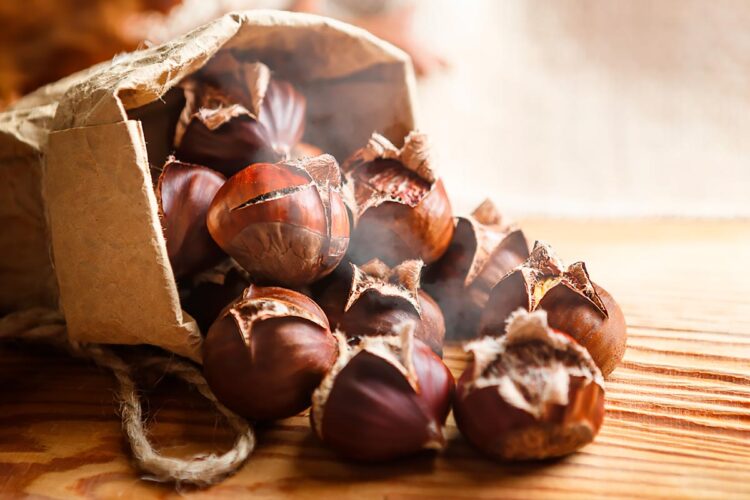 Aprenda a assar castanhas no microondas na perfeição!