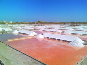 Salinas do Samouco: ouro branco no rio Tejo