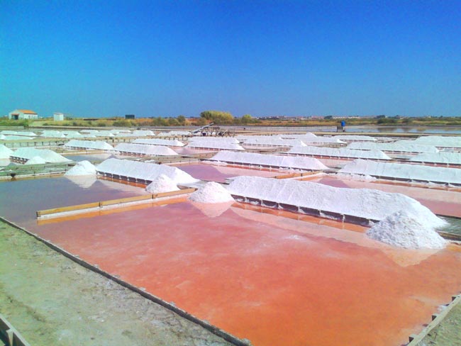 Salinas do Samouco: ouro branco no rio Tejo