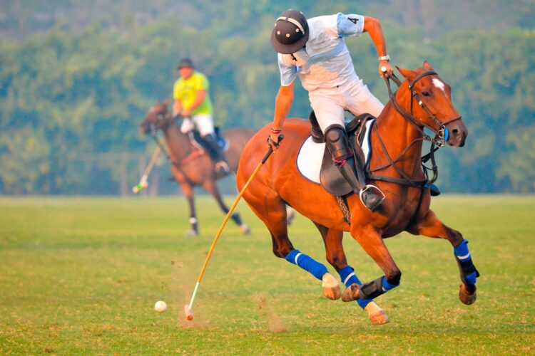 TOP10 dos desportos mais caros do mundo